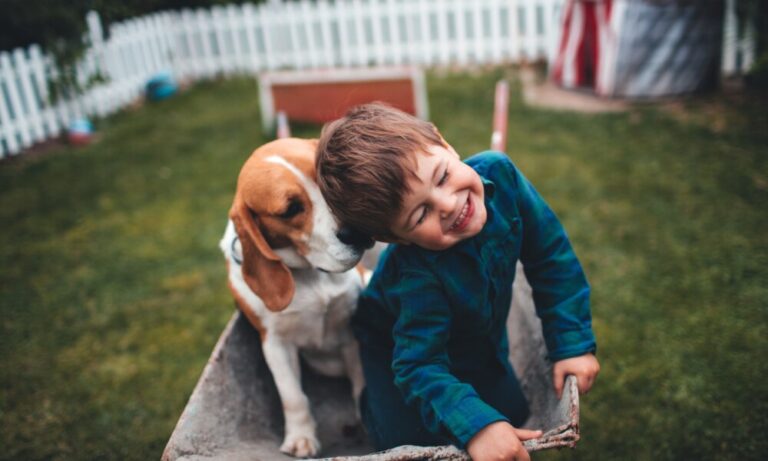 Pets in Children’s Development: Teaching Responsibility and Empathy ...